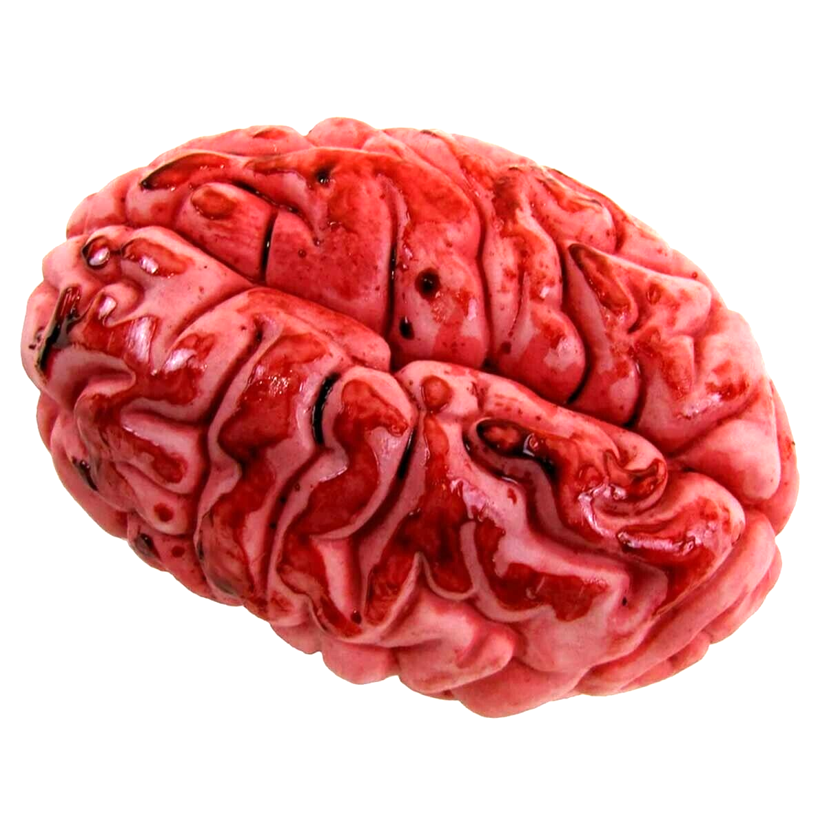 LifeSize Fake Zombie BLOODY BRAIN BUTCHER TRAY Human Organ Halloween H ...